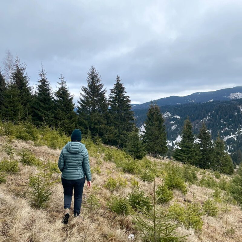 Oana Filip — Povești din 2022 (care m-au făcut mai bună)